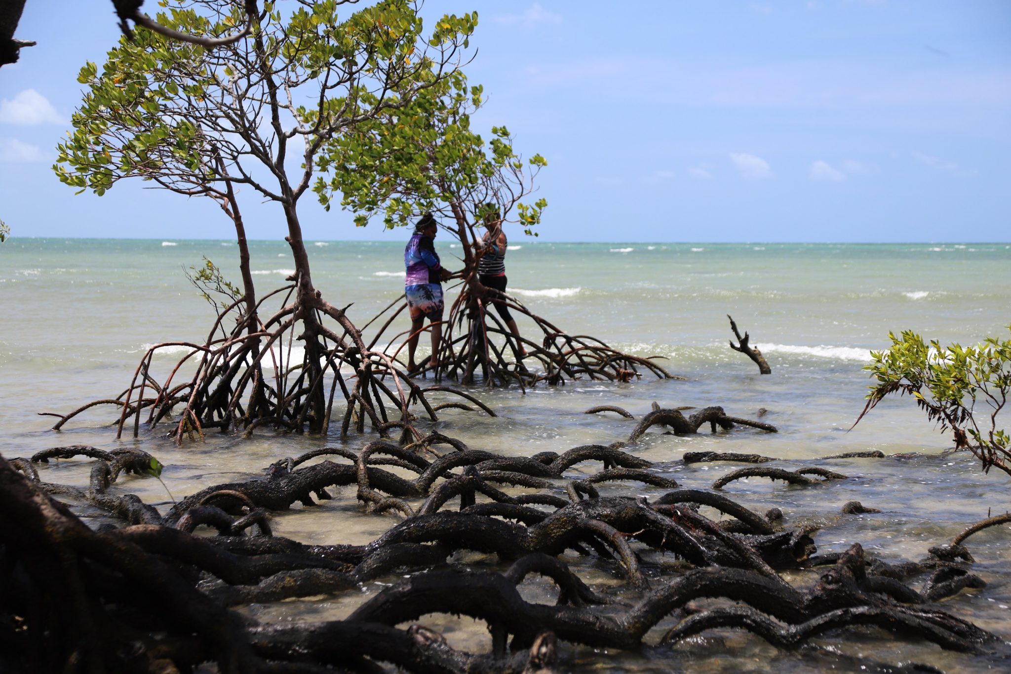 CULTURE & COUNTRY – Bana Yirriji Art Centre